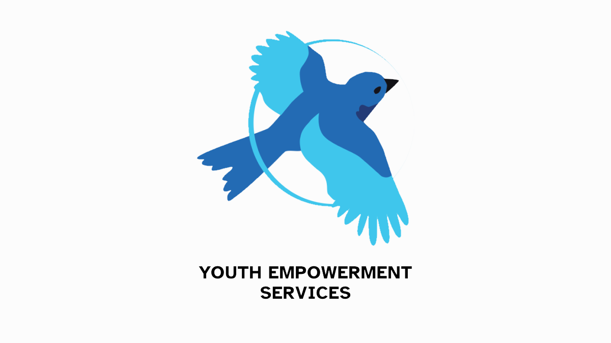 YES Project Plan | YOUTH EMPOWERMENT SERVICES